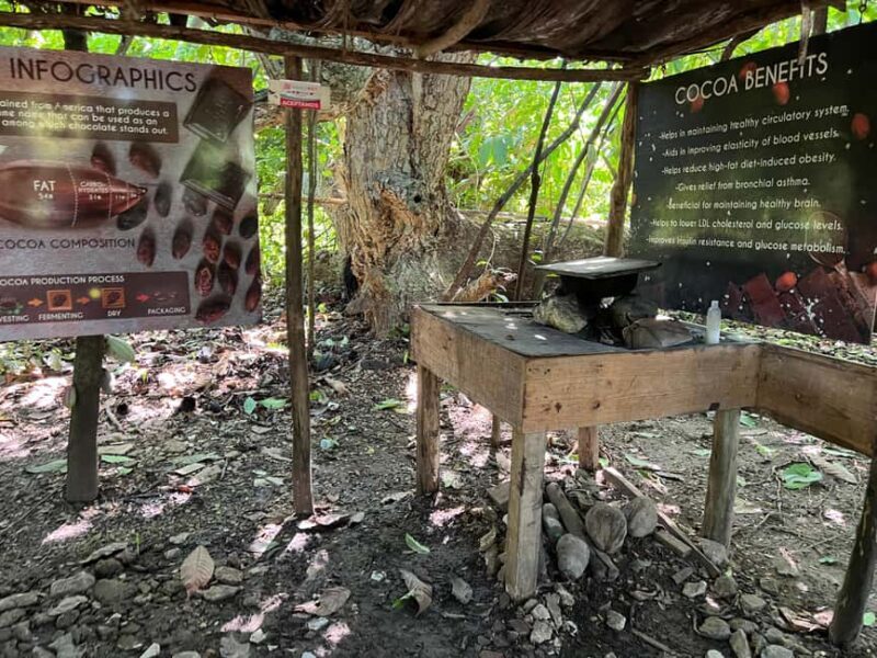 Punta Cana: Coffee Plantation, Chocolate, and Sugar Cane - Who Will Appreciate This Tour?