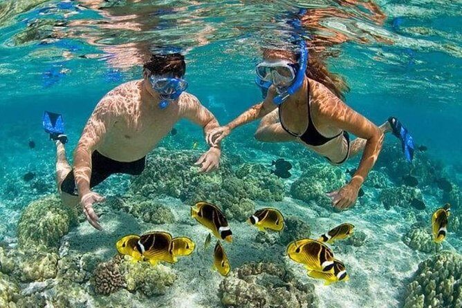 Punta Cana Combo: Diving, Parasailing, Snorkeling & Party Boat (Half Day) - What to Expect on This Punta Cana Combo Tour