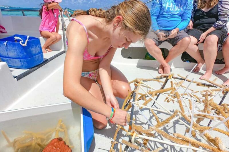 Punta Cana Coral Reef Restoration & Snorkelling Experience - Final Thoughts: Is It Worth It?