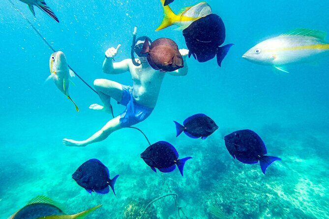 Punta Cana Coral Reef Restoration & Snorkelling Experience - Frequently Asked Questions