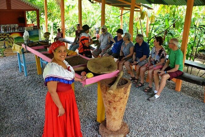 Punta Cana: Cultural half-day tours in the Dominican Republic - Price and Value Analysis