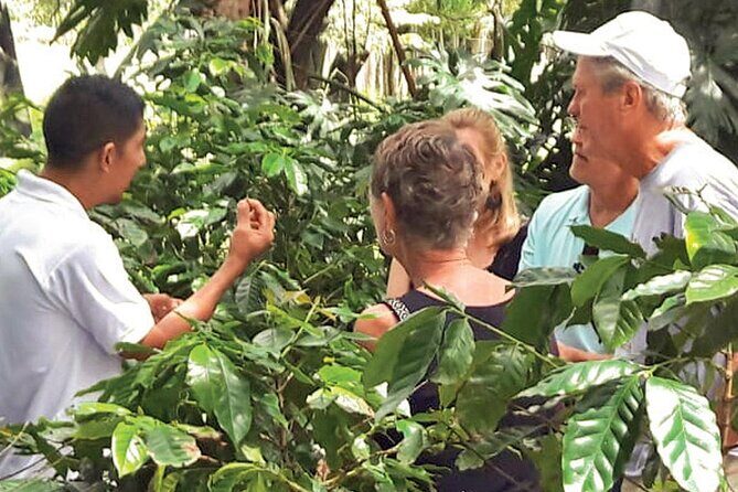 Punta Cana: Cultural half-day tours in the Dominican Republic - Real Travelers’ Feedback