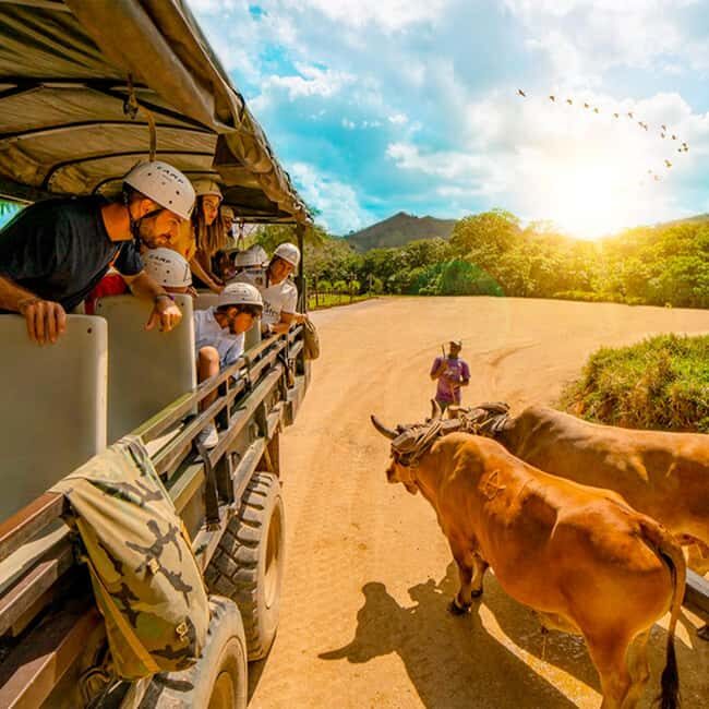 Punta Cana Cultural Tour History and Traditions Small Group - Key Points