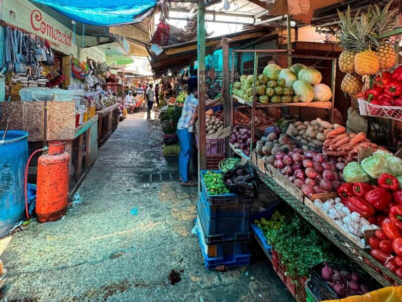 Punta Cana Cultural Tour History and Traditions Small Group - Exploring the Highlights of the Tour