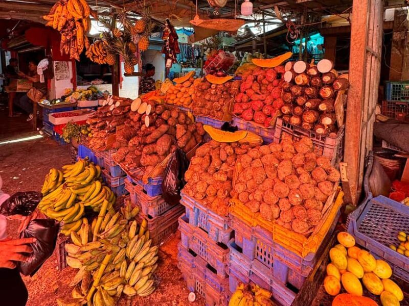 Punta Cana Cultural Tour History and Traditions Small Group - Value & Price Analysis