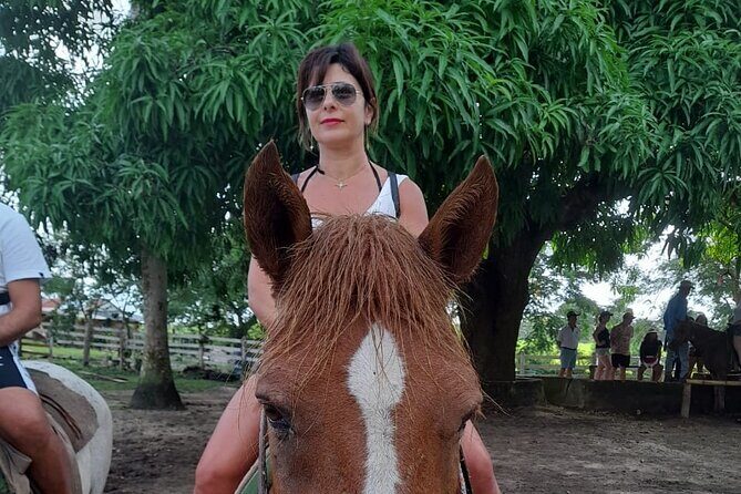 Punta Cana: Cultural Tour Safari Truck Food Included Pickup Hotel - Who Will Love This Tour?