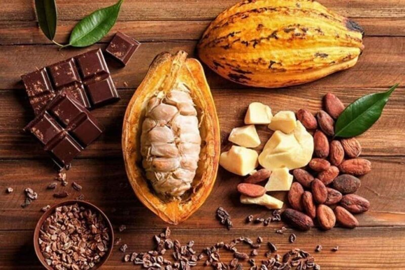 Punta Cana: Cultural Tour with Coffee Tasting, Cocoa & Lunch - An Honest Look at the Day’s Itinerary