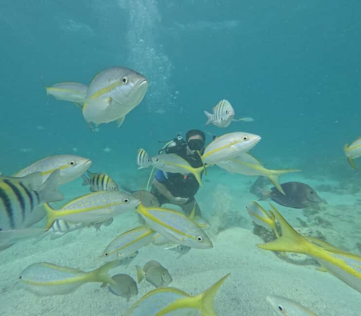 Punta Cana: Discover Scuba Diving Experience for Beginners - Practical Details and Tips