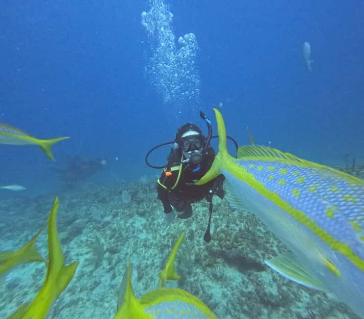 Punta Cana: Discover Scuba Diving Experience for Beginners - Who Will Love This Tour?