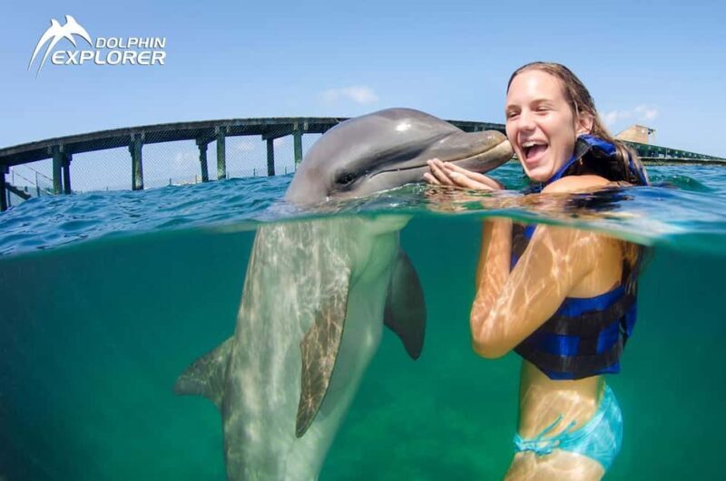 Punta Cana Dolphin Adventure: 40-Minute Interaction - How the Tour Is Structured