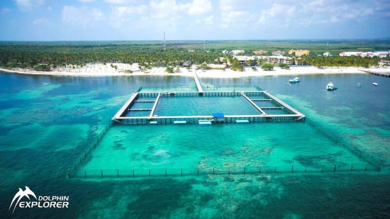 Punta Cana Dolphin Adventure: 40-Minute Interaction - Environmental and Safety Considerations