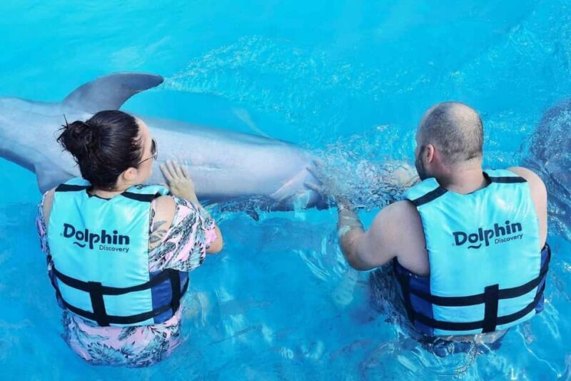 Punta Cana: Dolphin Discovery Park Tour with Hotel Transfers - Key Points