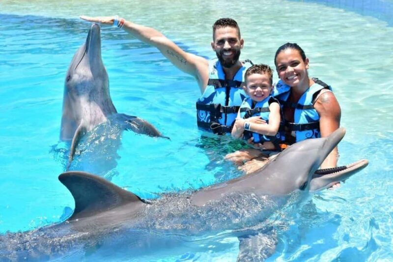 Punta Cana: Dolphin Discovery Park Tour with Hotel Transfers - What to Expect from the Dolphin Discovery Tour