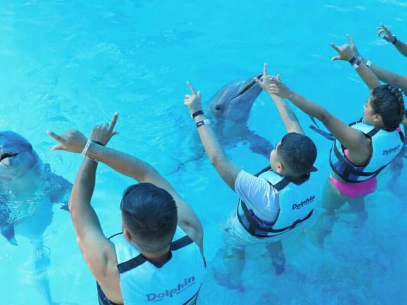 Punta Cana: Dolphin Explorer Park Entry, Swim, or Encounter - The Experience at a Glance