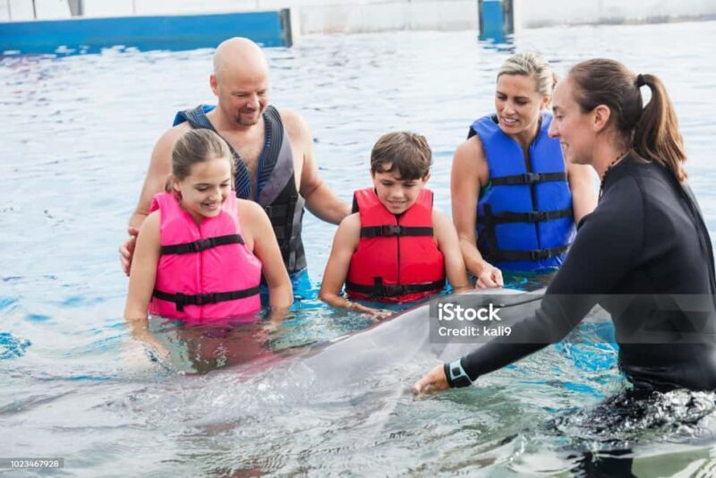 Punta Cana: Dolphin Explorer Park Entry, Swim, or Encounter - The Real Experience