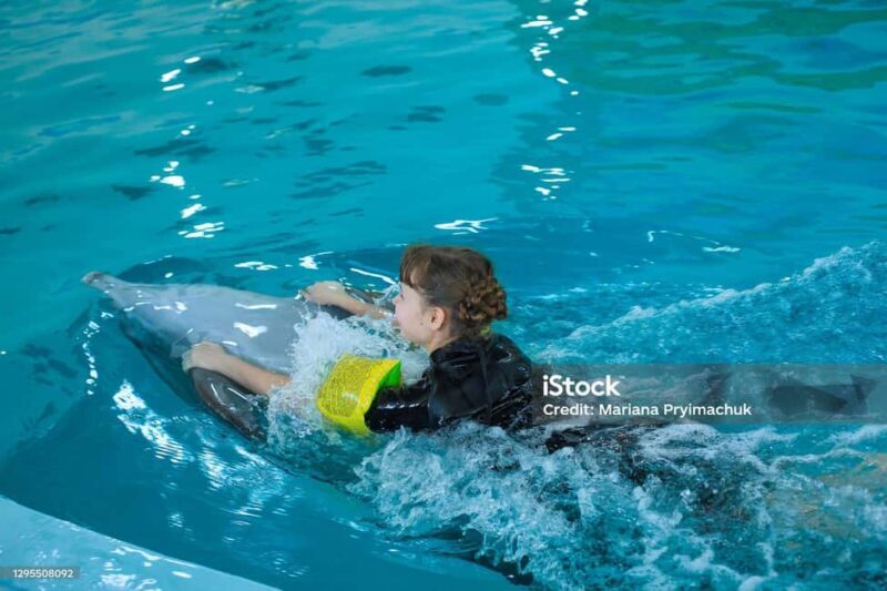 Punta Cana: Dolphin Explorer Park Entry, Swim, or Encounter - Who Should Consider This Tour?