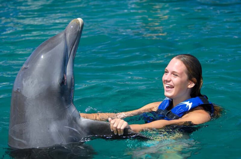 Punta Cana: Dolphin Explorer Swims and Interactions - The Sum Up: Is It Worth It?