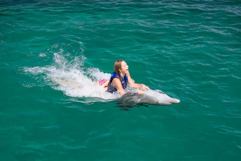 Punta Cana: Dolphin Explorer Swims and Interactions - FAQ