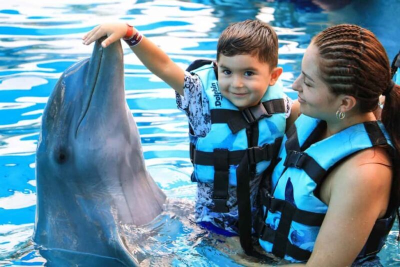 Punta Cana: Dolphin Interaction Experience & Hotel Transfers - Key Points