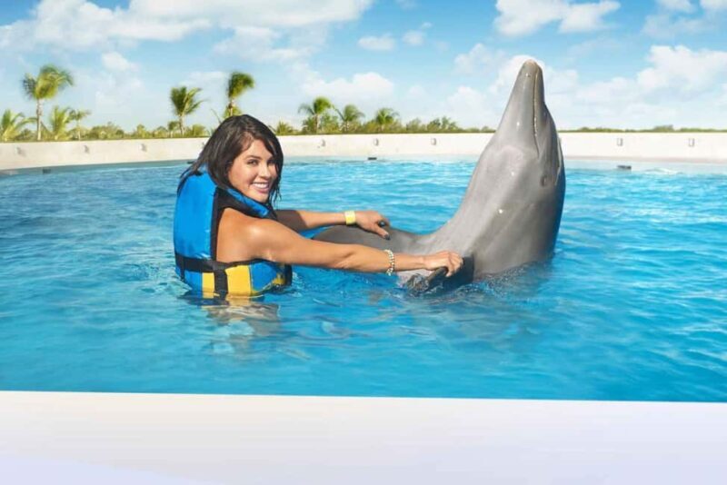 Punta Cana: Dolphin Interaction Experience & Hotel Transfers - An Honest Look at the Experience
