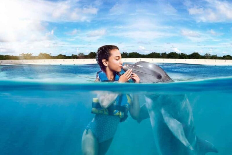 Punta Cana: Dolphin Interaction Experience & Hotel Transfers - Who Will Love This Tour?