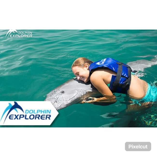 Punta Cana: Dolphin Park Entry and Swim with Dolphins - What the Experience Looks Like: A Closer Look