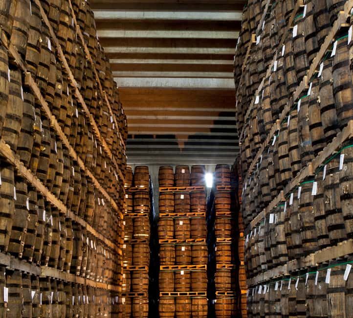 Punta Cana: Dominican Flavors Guided Day Trip - Key Points