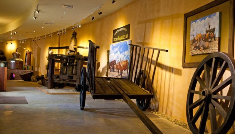 Punta Cana: Dominican Flavors Guided Day Trip - Who Should Consider This Tour?