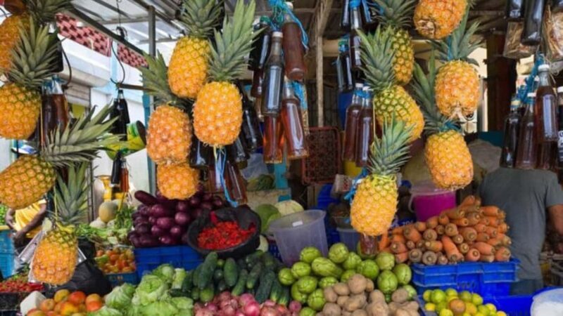 Punta Cana: Dominican Republic Culture Tour - An Honest Look at the Dominican Culture Tour