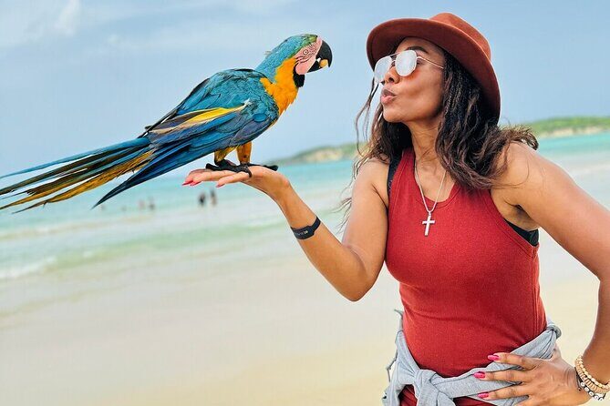 Punta Cana Dominican Republic Small Group Cultural Tour Safari - Introduction