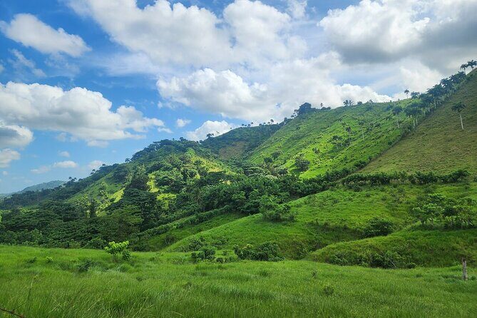 Punta Cana Dominican Republic Small Group Cultural Tour Safari - Key Points