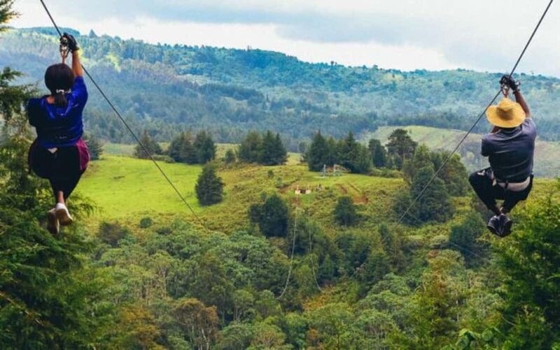 Punta Cana: Domitai Park Zipline, Buggy & Cenote Tour - Key Points