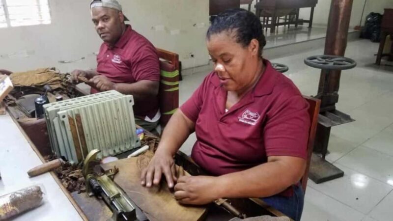 Punta Cana: Don Lucas Cigar, Chocolate, & Rum Tour - Key Points