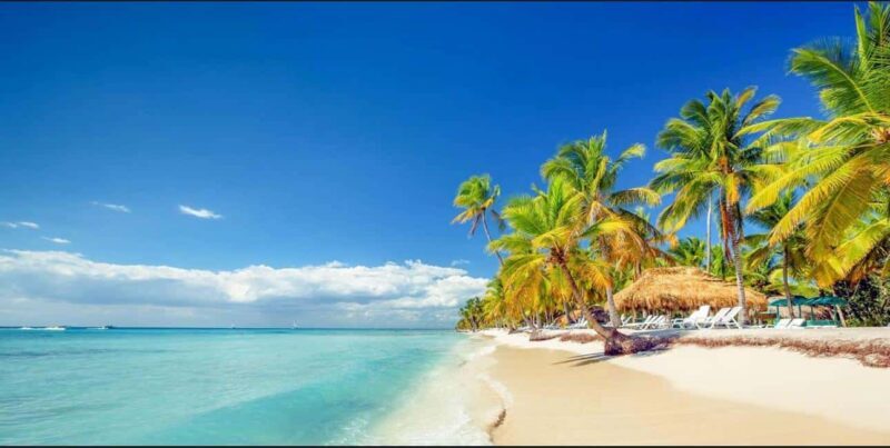 Punta Cana : Done Buggy Excursions AtV /cenote on the Beach - Key Points