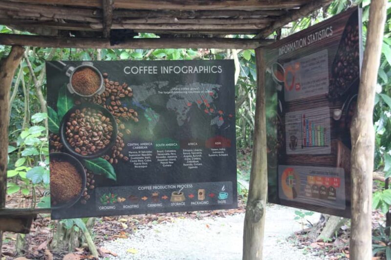 Punta Cana E-bike tour: Macao, El Salado, Ceiba, El Caño - Key Points