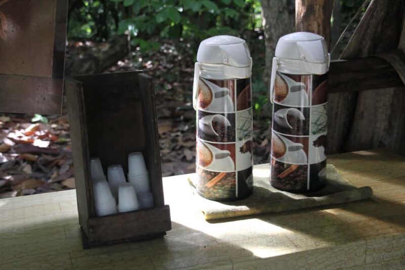 Punta Cana E-bike tour: Macao, El Salado, Ceiba, El Caño - Setting the Scene: What to Expect on the Tour