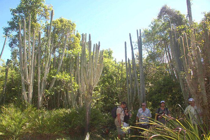 Punta Cana: Eco Jungle Tour - Authentic Experiences and Guided Insights