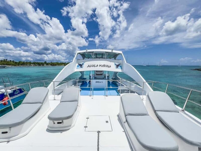 Punta Cana: Exclusive Private Catamaran Tour to Saona Island  VIP Service - What You Really Get for the Price