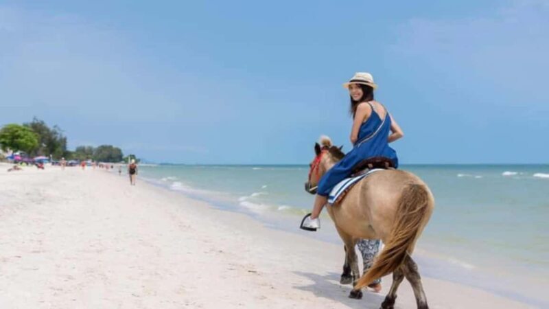 Punta Cana: Full-Day Adventure with Lunch & Drinks - Who Will Enjoy This Tour?
