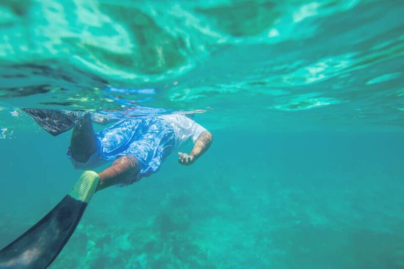 Punta Cana: Full Day Boat Trip to Catalina Island with Lunch - Is It Worth the Price?