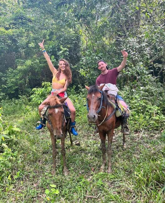 Punta Cana: Guided Horseback Tour of Beaches and Fields - Key Points