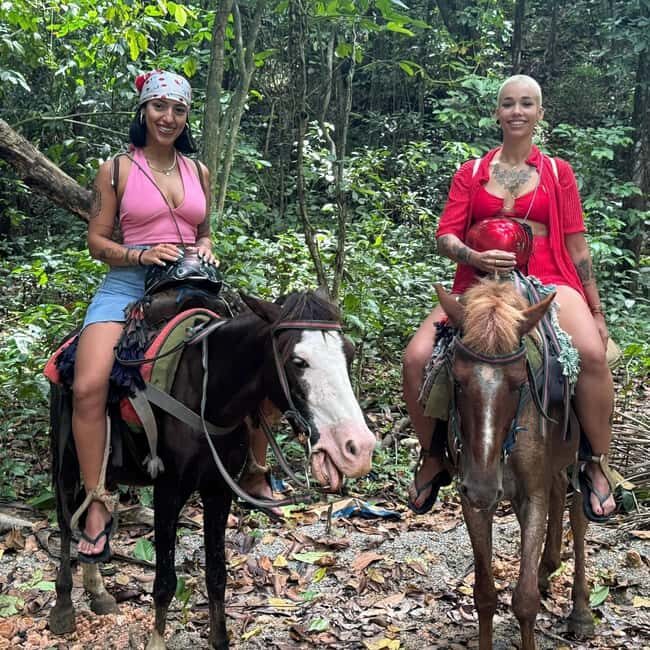 Punta Cana: Guided Horseback Tour of Beaches and Fields - Final Thoughts: Who Should Consider This Tour?