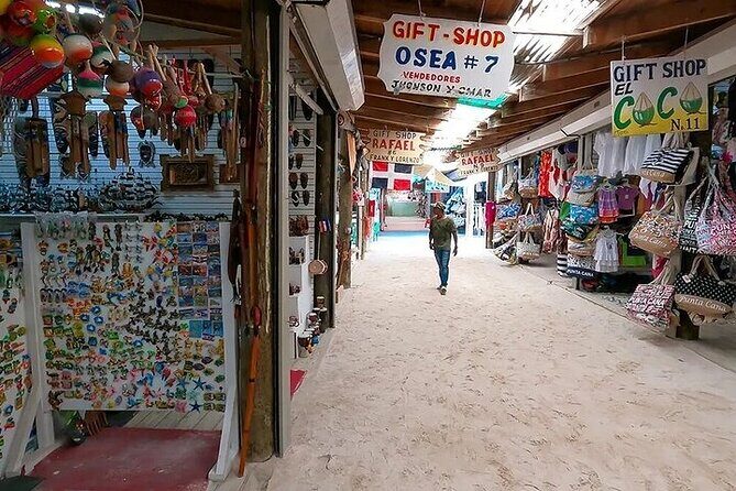 Punta Cana Guided Tour Experiencing Local Culture - Final Thoughts: Who Is This Tour Best For?