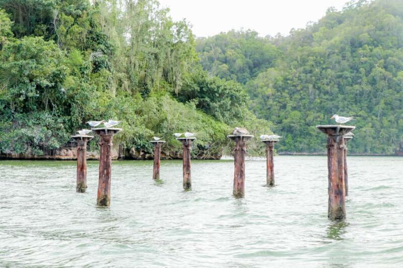 Punta Cana: Haitises, Cano Hondo, Redonda Mountain Day Trip - Authentic Experiences and Genuine Encounters