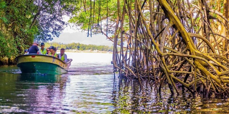 Punta Cana: Haitises, Montaña R. & Horse Ride Limón Beach - Authentic Reviews and Traveler Insights