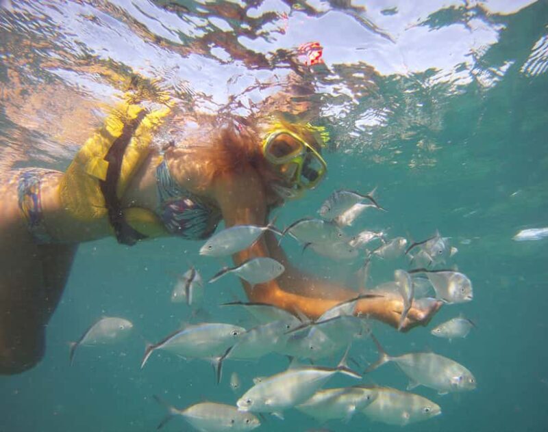 Punta Cana Happy Hour Sailing Cruise - An Introduction to the Experience