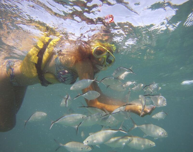 Punta Cana Happy Hour Sailing Cruise - Who Should Consider This Tour?