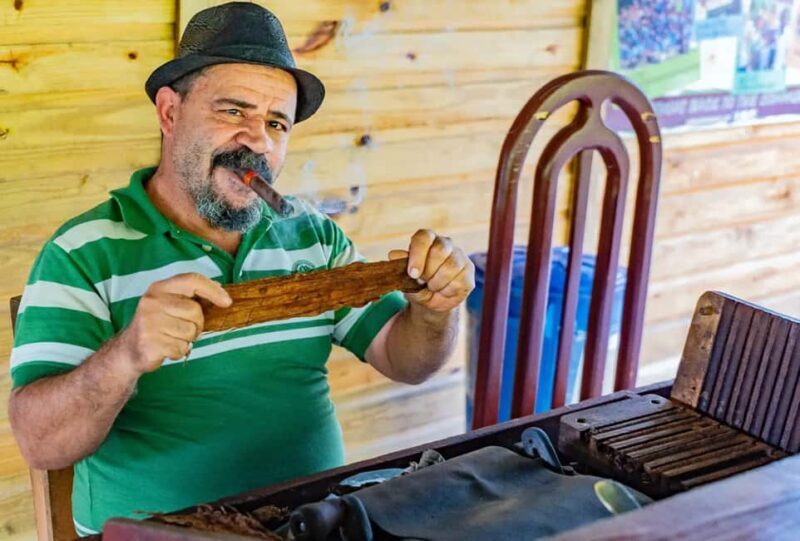 Punta Cana: Higüey Safari Tour with Lunch and Beach Stop - Key Points