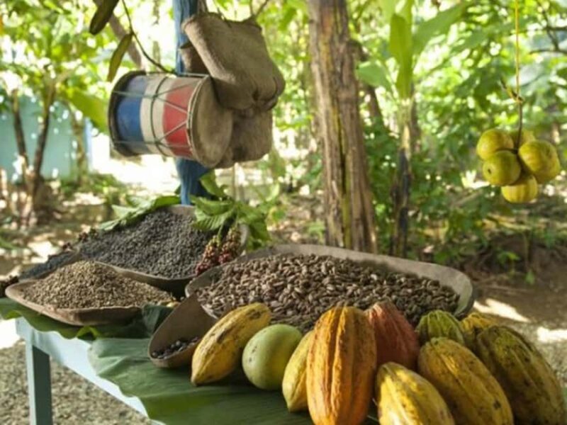 Punta Cana: Higuey Tour Excursion Cultural - Practical Tips for Participants