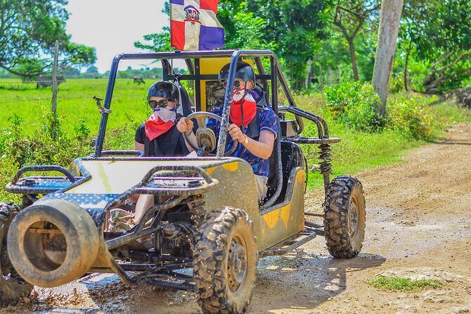 Punta Cana Horse and Buggy Adventure Tour - A Deep Dive into the Experience